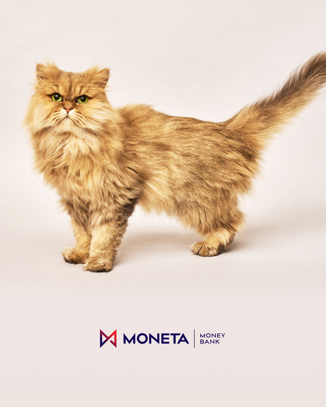 Za dlouhodobou podporu projektu W4W: Bydlení pro děti – Kauce děkujeme ...